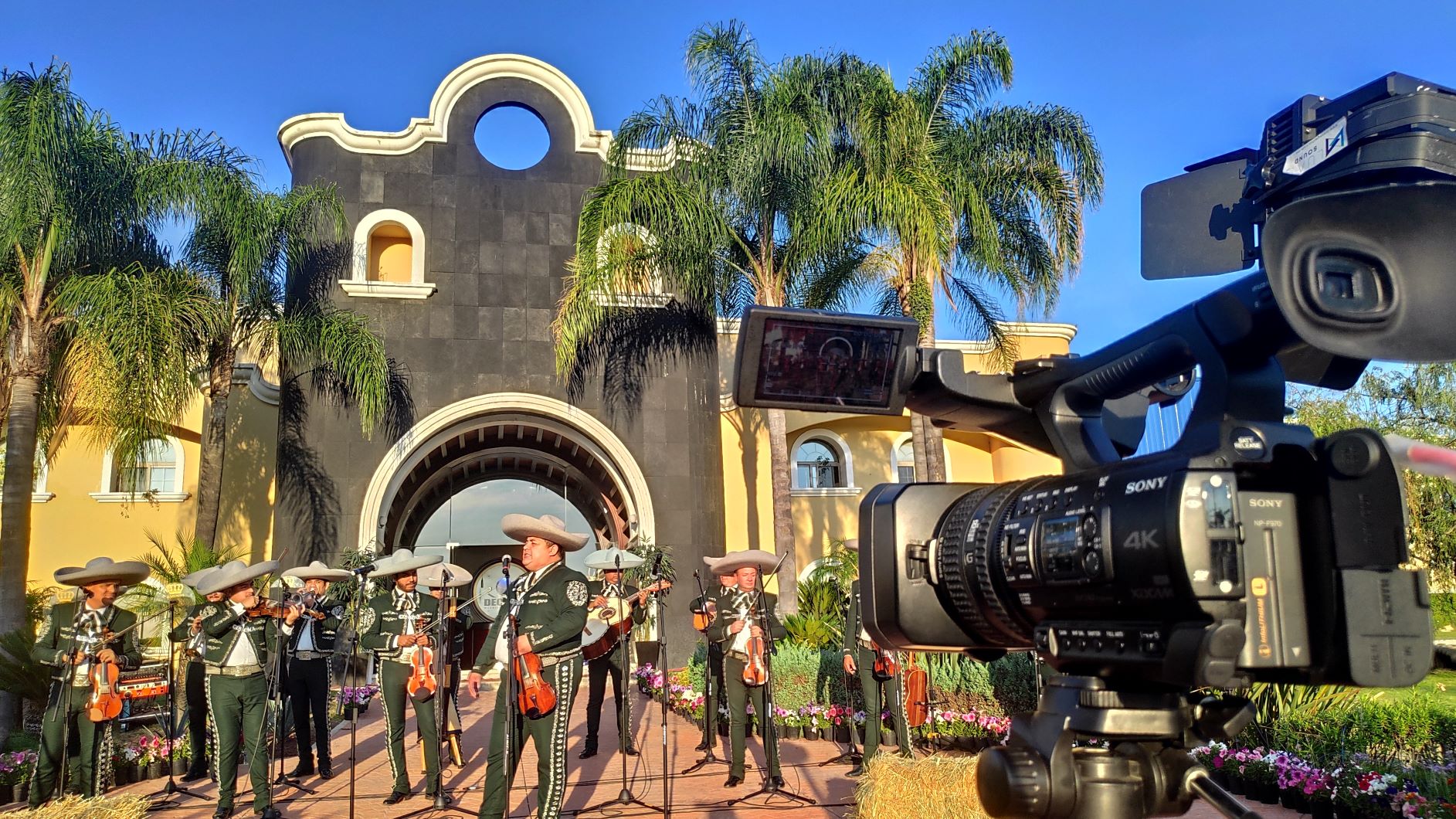Producción de eventos Guadalajara Transmisión en vivo